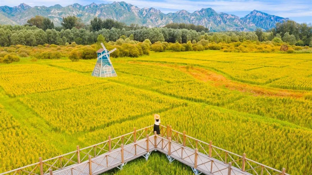 Beijing 2022 Internet-popular Spots Recommended List_Beijing Tourism